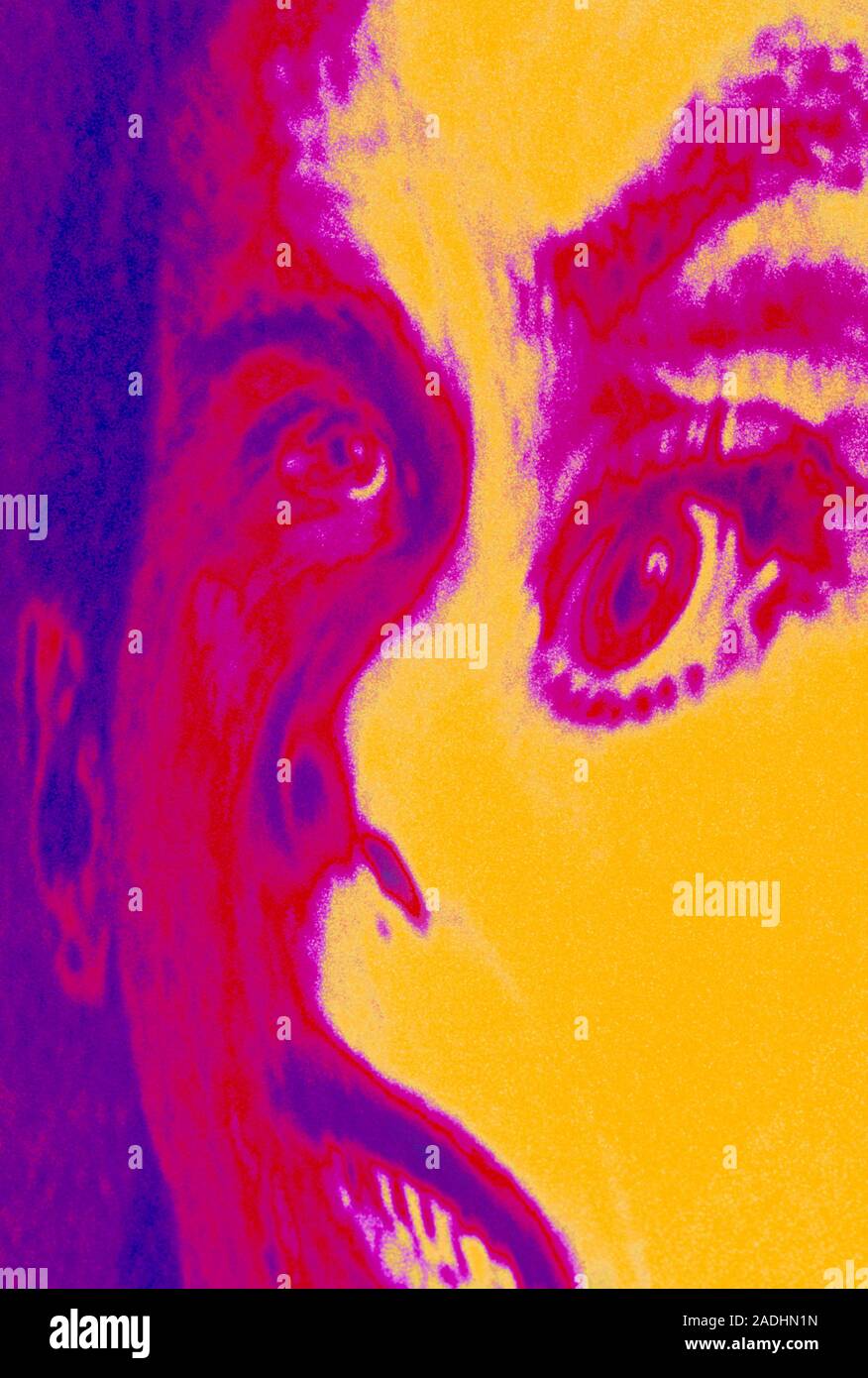 Paranoia. Abstract computer image of the contorted face of a woman ...