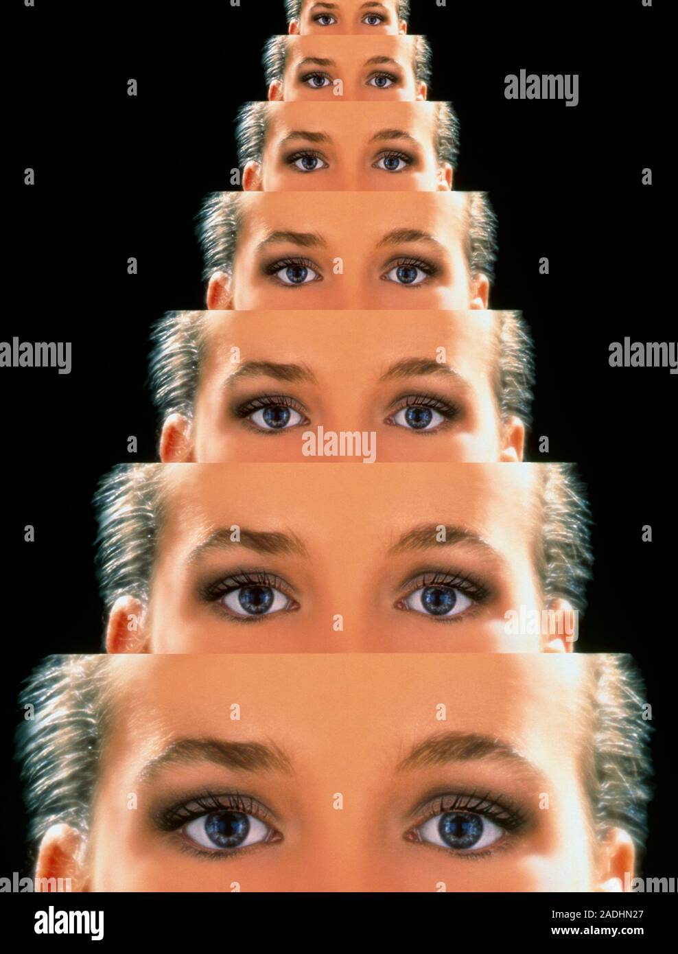 Multiple personality disorder. Abstract computer image depicting a ...