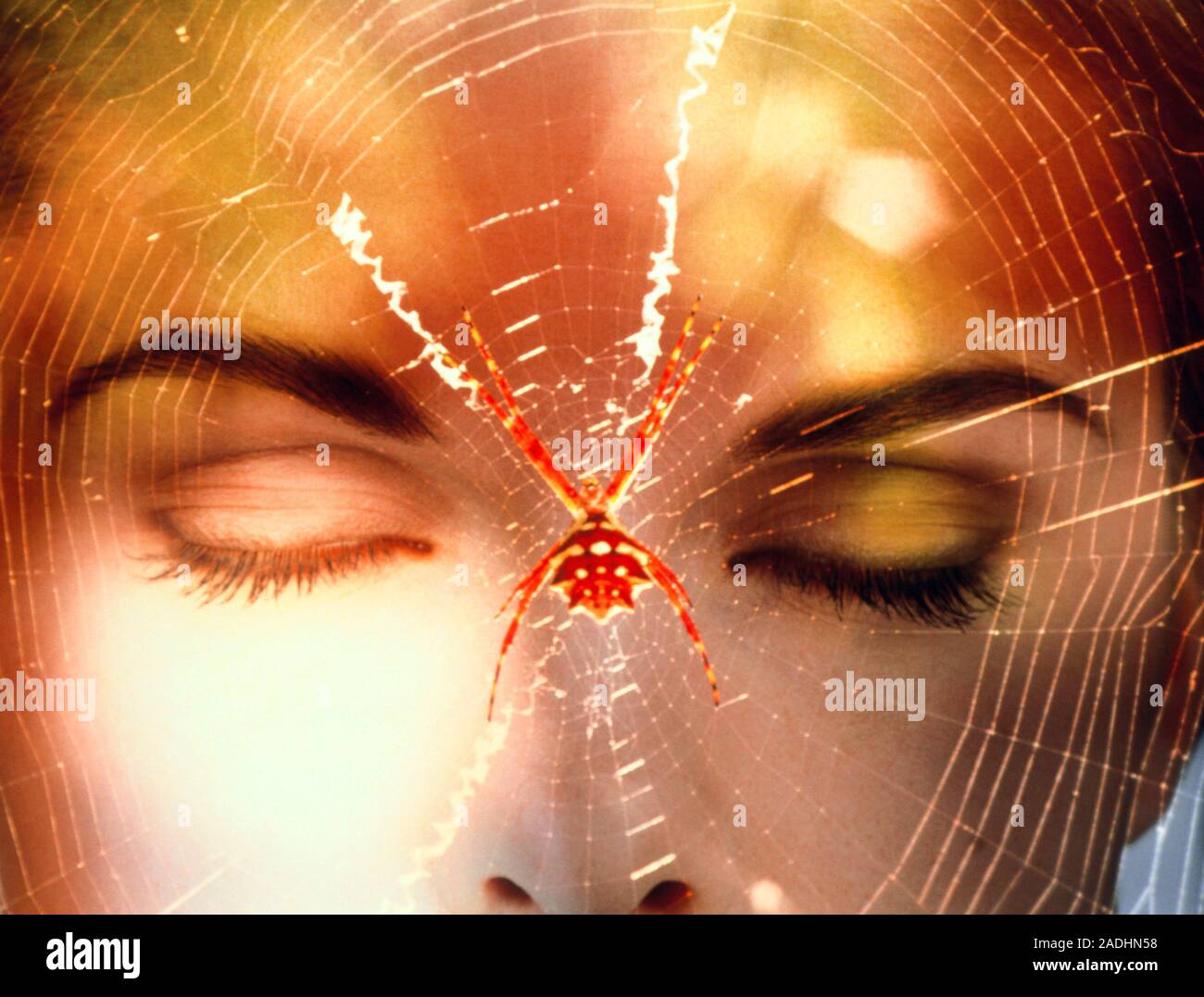 Arachnophobia. Face of a woman with closed eyes, seen through a spider ...