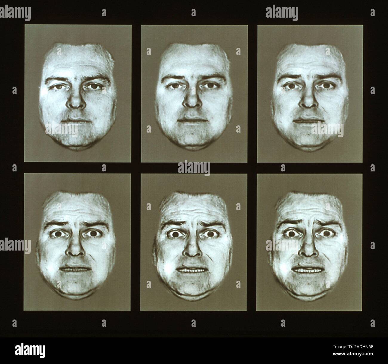 Faces of fear. Six images of a man's face showing progressive stages of ...