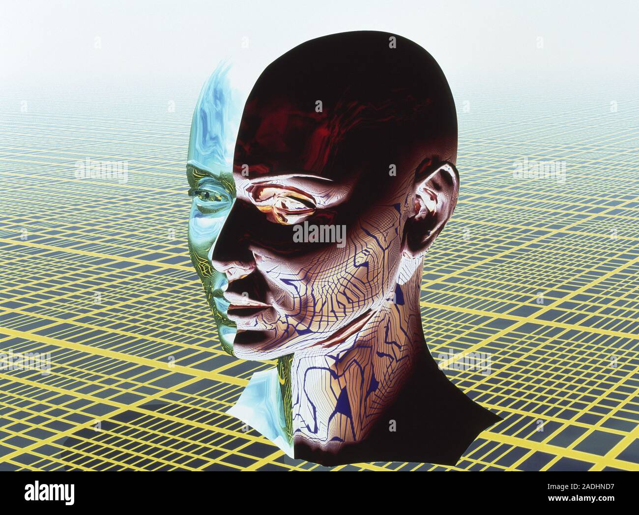 Split personality. Conceptual computer artwork of two sides of a human ...