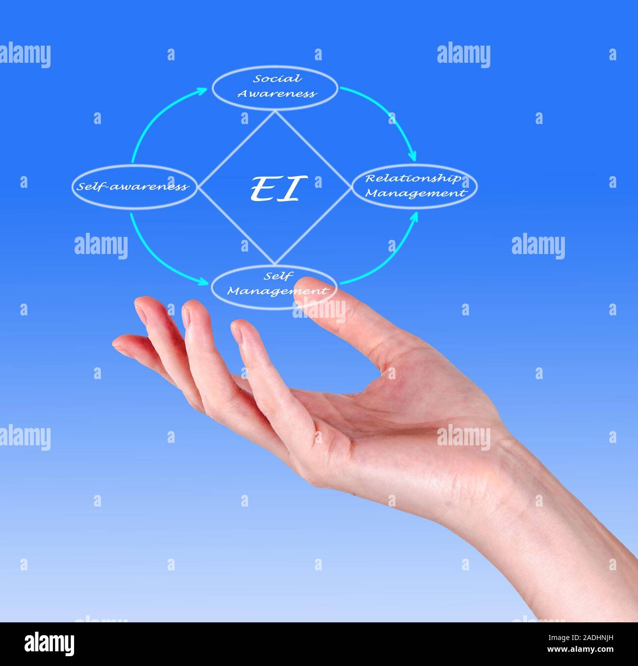 Diagram of emotional intelligence Stock Photo - Alamy