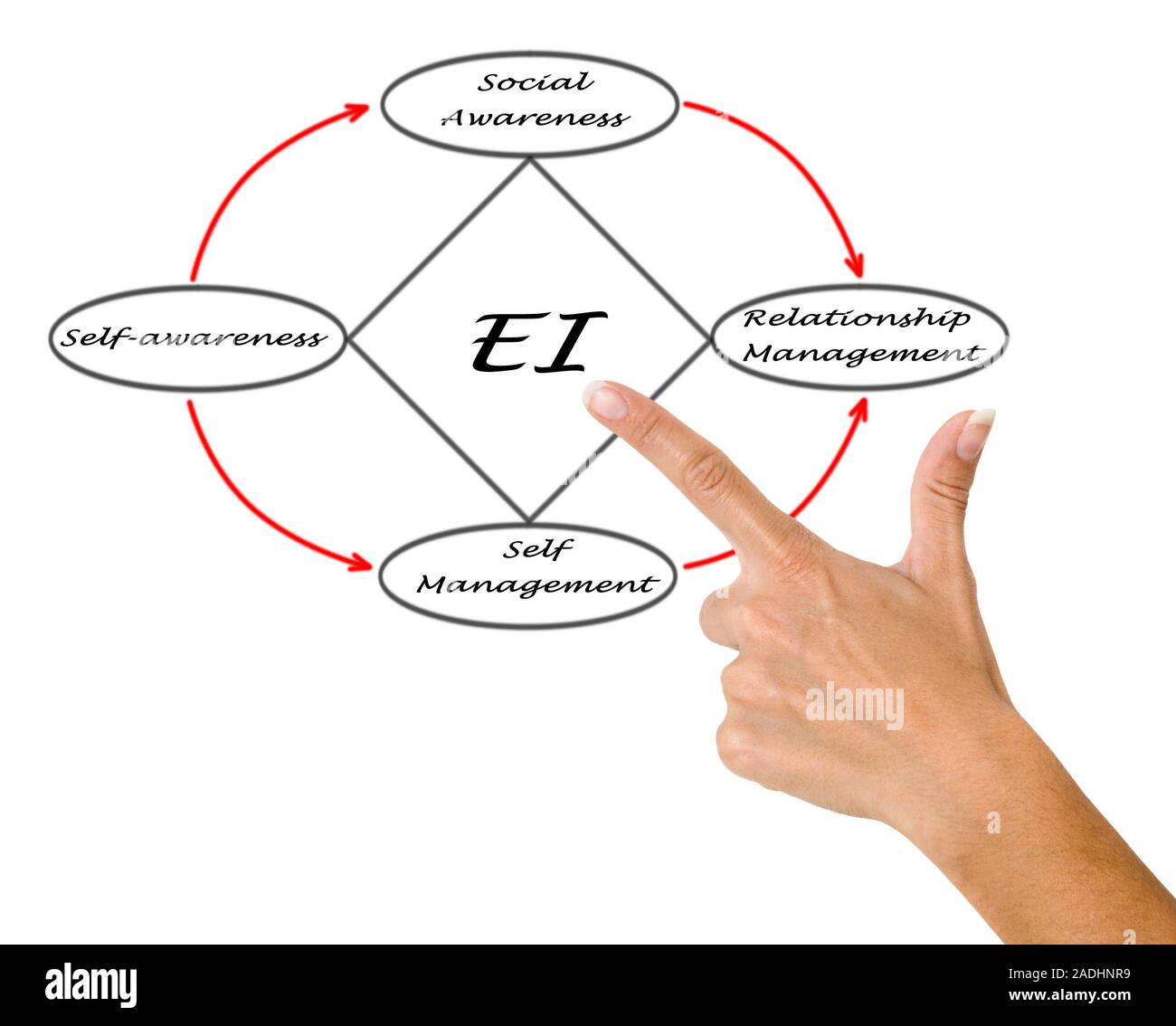 Diagram of emotional intelligence Stock Photo - Alamy