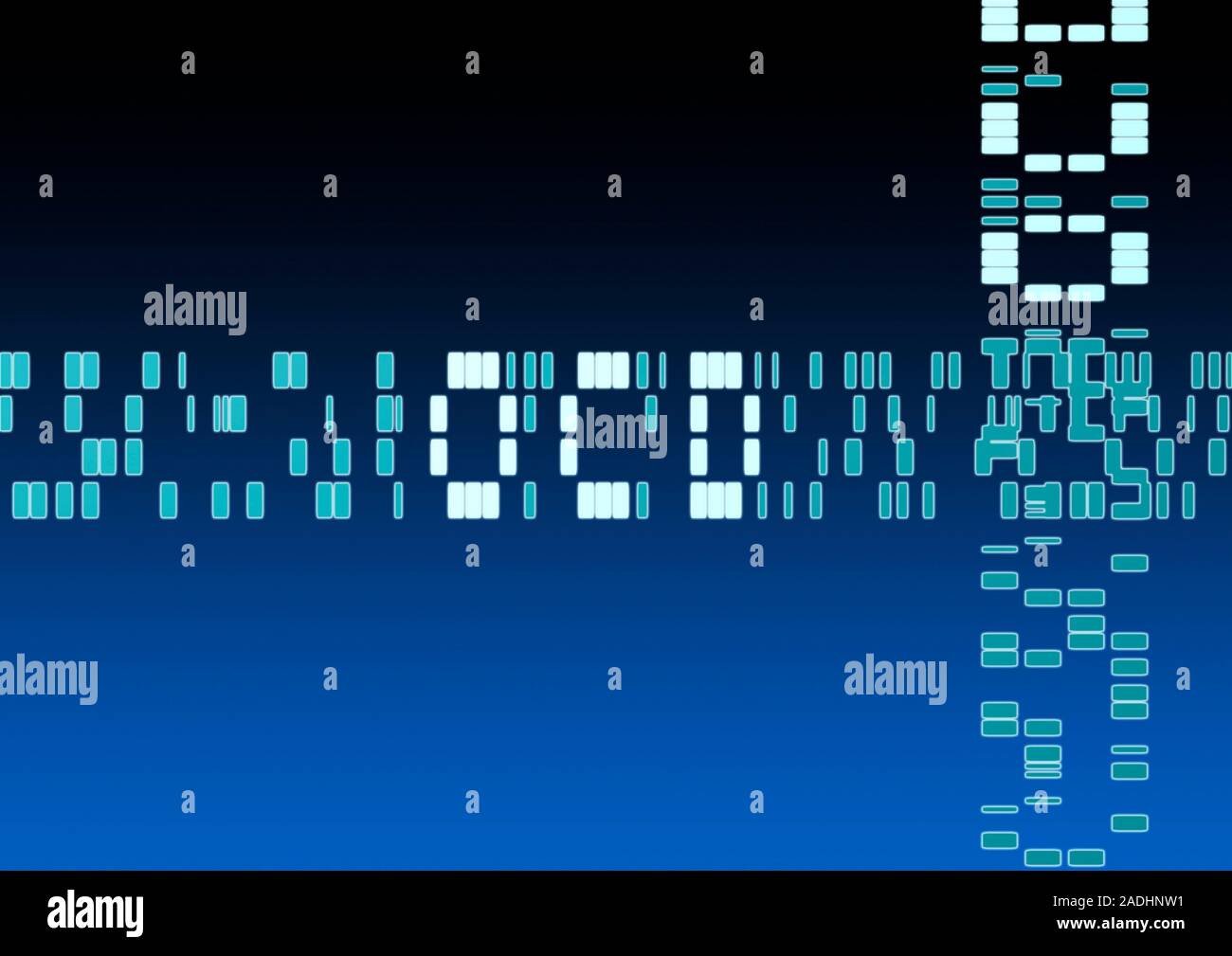 Obsessive compulsive disorder. Computer artwork of a DNA ...