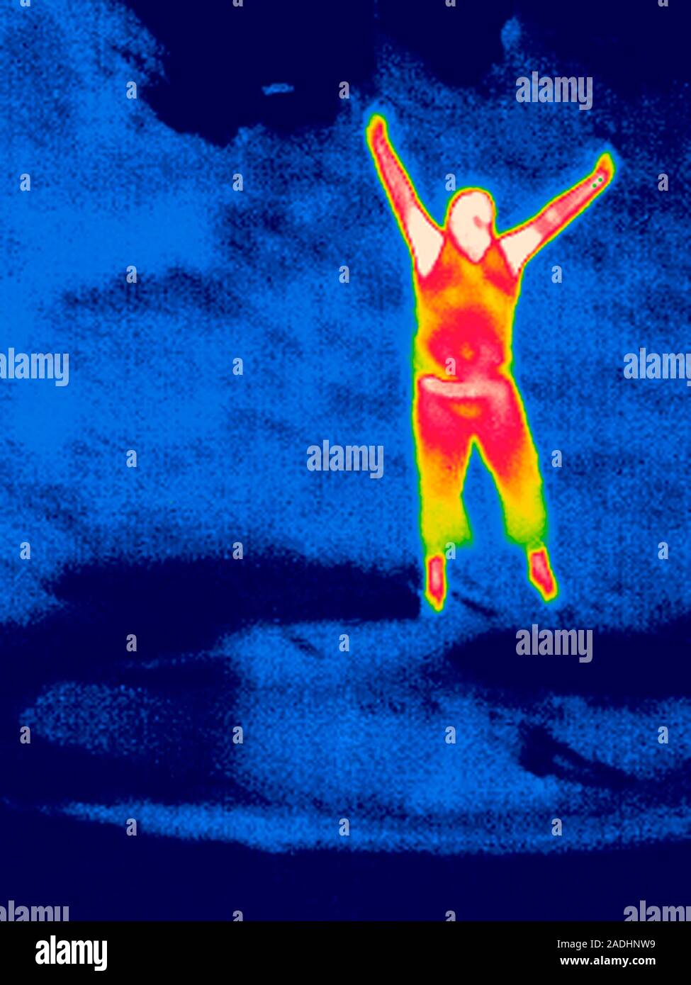 Man jumping, thermogram. The colours show variation in temperature. The ...