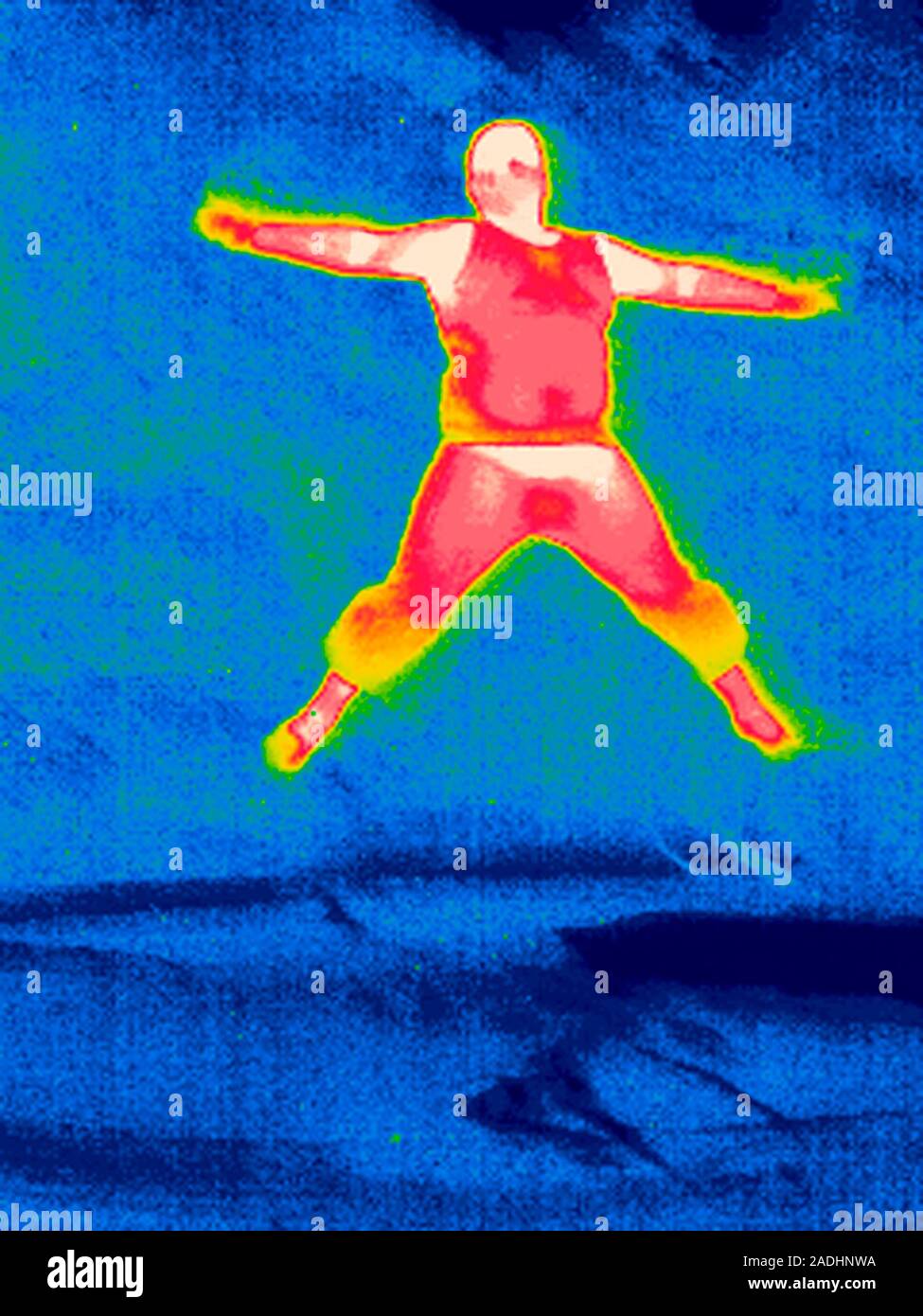 Man jumping, thermogram. The colours show variation in temperature. The ...