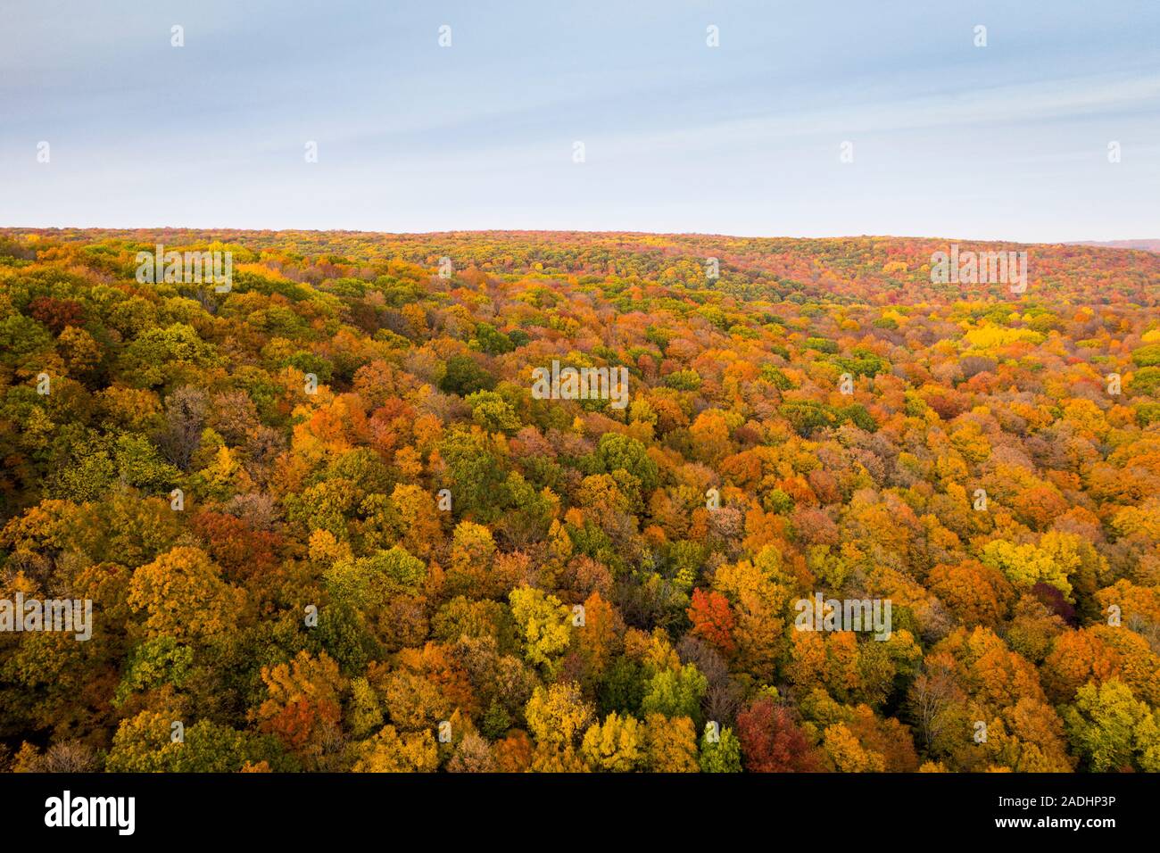 Aerial view of lush trees hi-res stock photography and images - Alamy