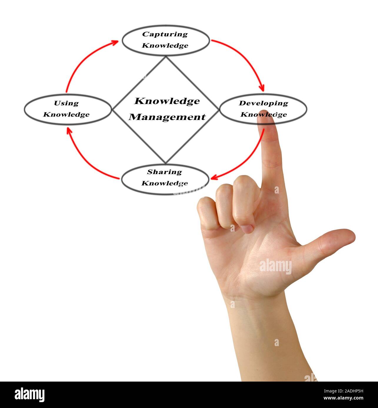 Using knowledge Cut Out Stock Images & Pictures - Alamy