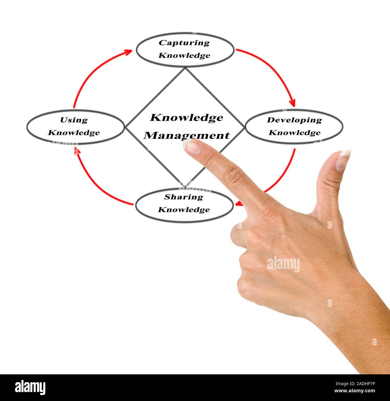 Diagram of knowledge managment Stock Photo - Alamy