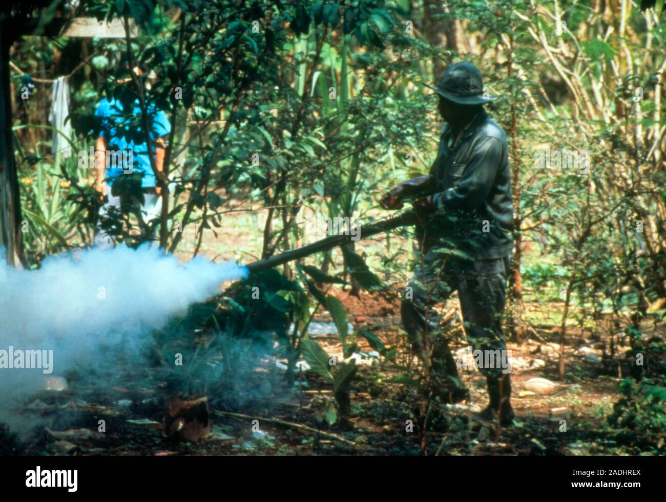 Malaria control. Man using a fogging machine to spray insecticide near ...