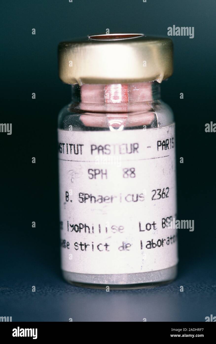 Bacterial mosquito pesticide. Jar of the bacteria Bacillus sphaericus ...