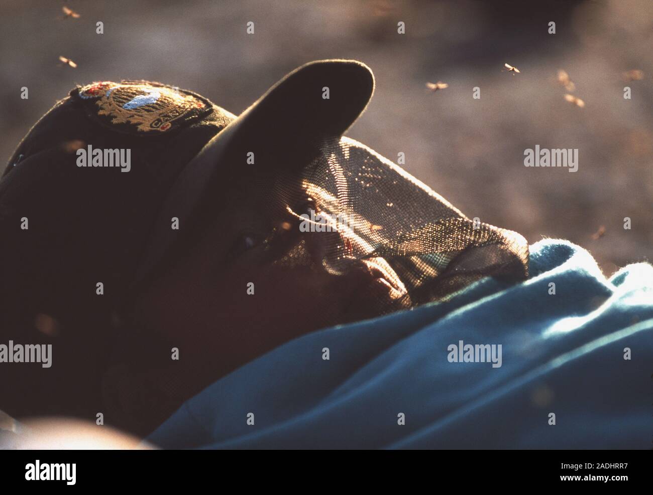 Mosquito face net. Boy wearing a net over his face to protect him from ...