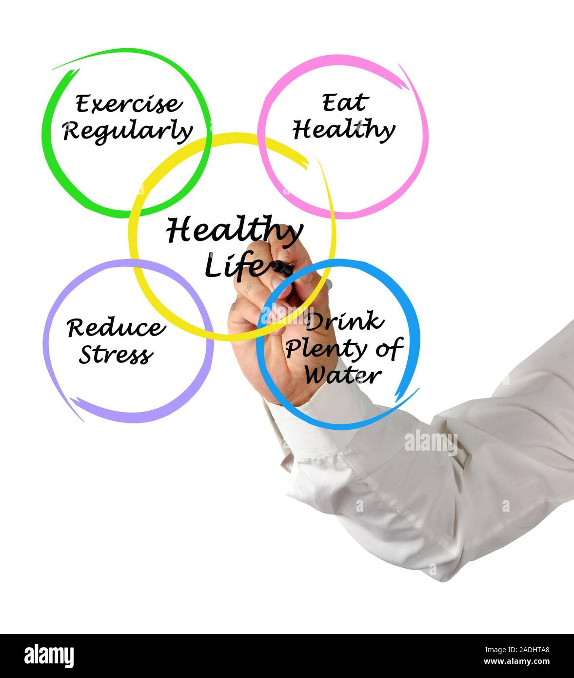 Diagram of healthy life Stock Photo - Alamy