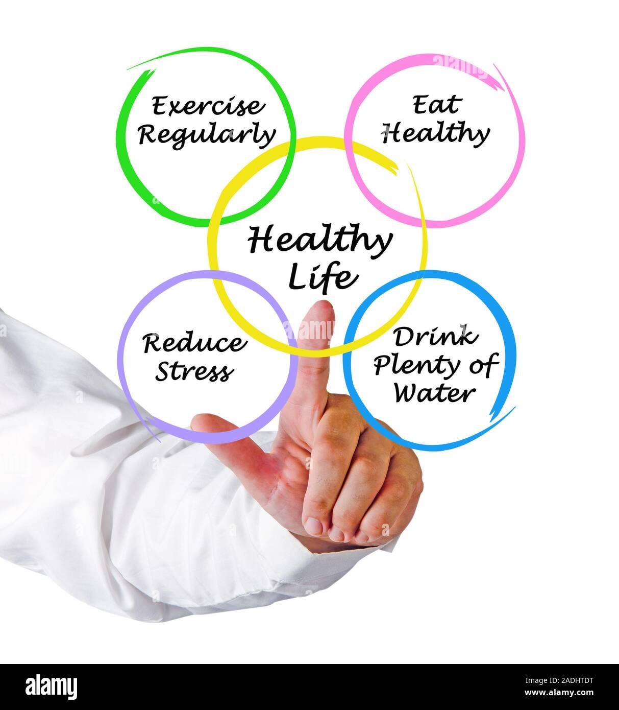 Diagram of healthy life Stock Photo - Alamy