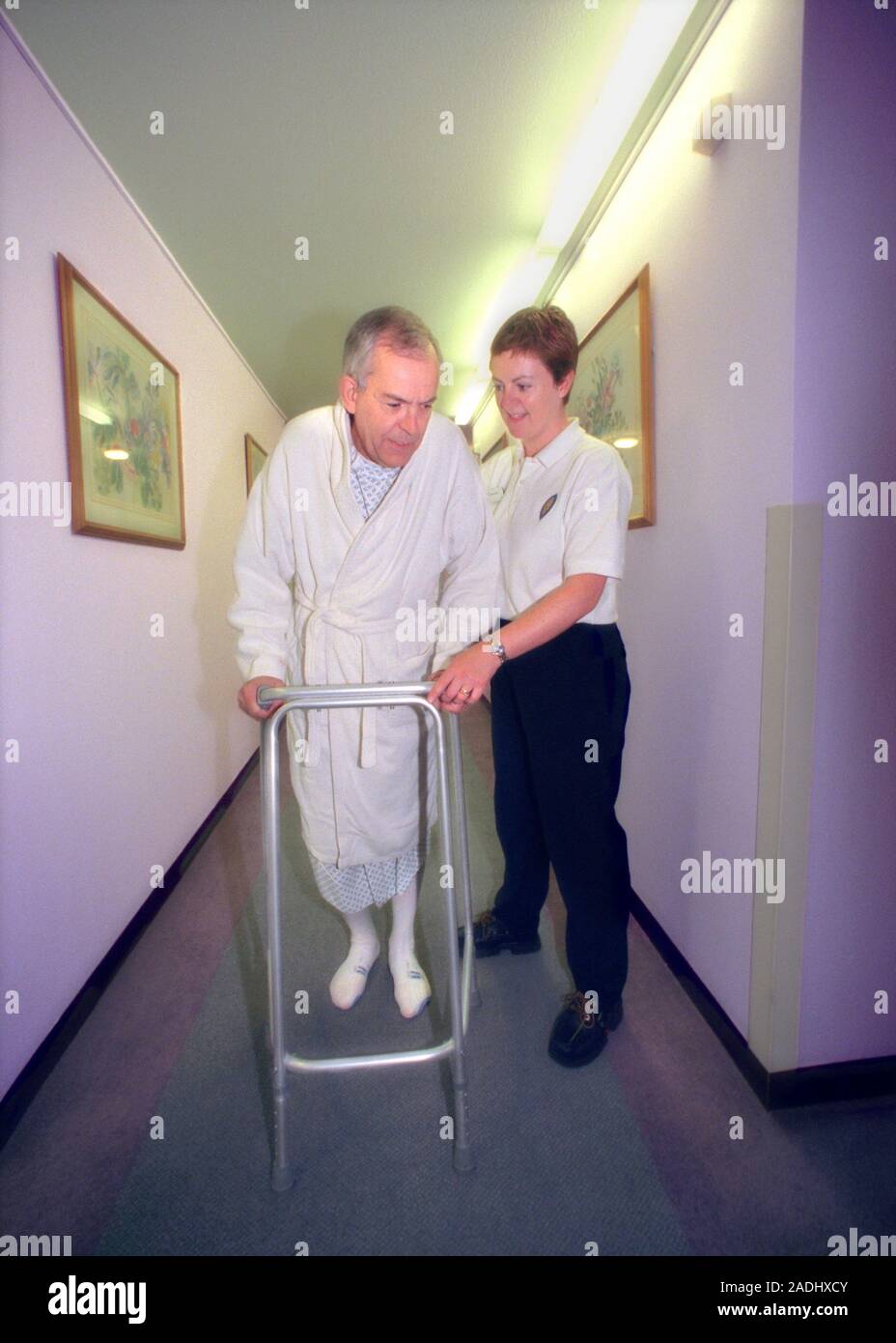 Elderly man with a Zimmer frame walking with the aid of a healthcare ...