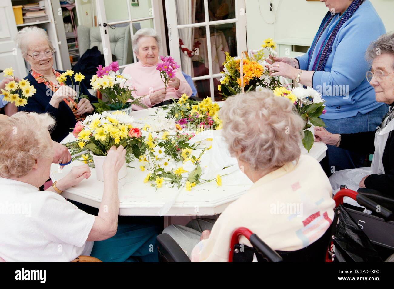 MODEL RELEASED. Geriatric care. Elderly women arranging flowers at a ...