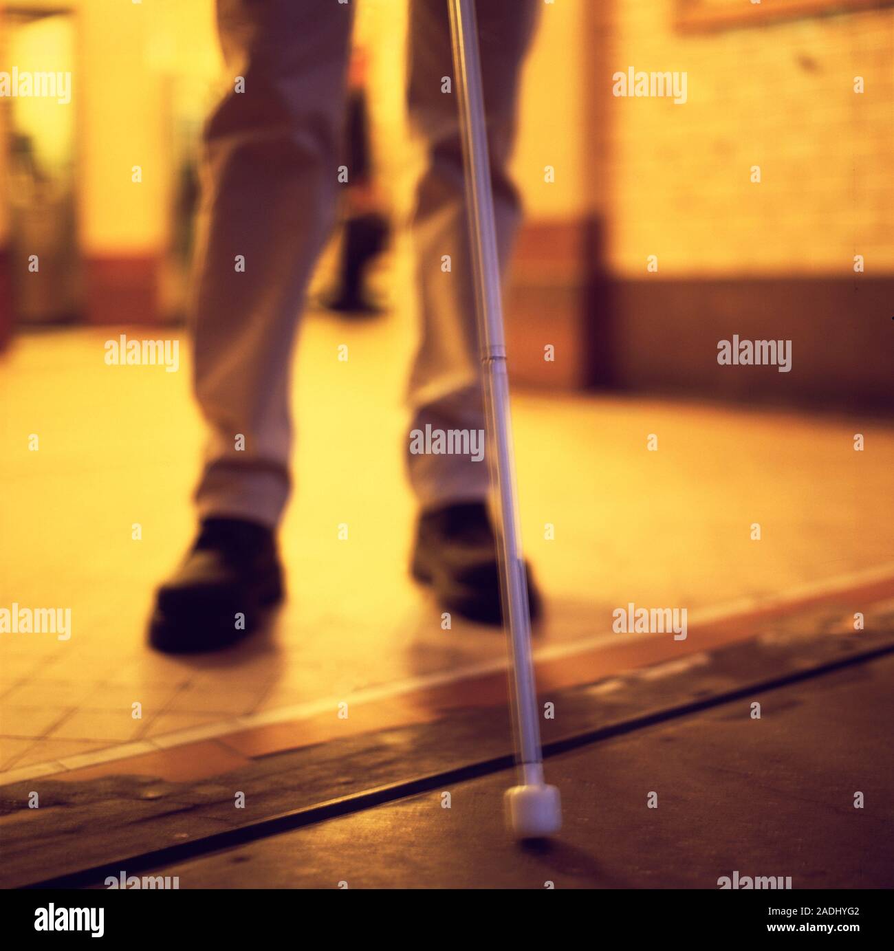 Blind man using a white cane (stick) to assist in navigating a tripping ...