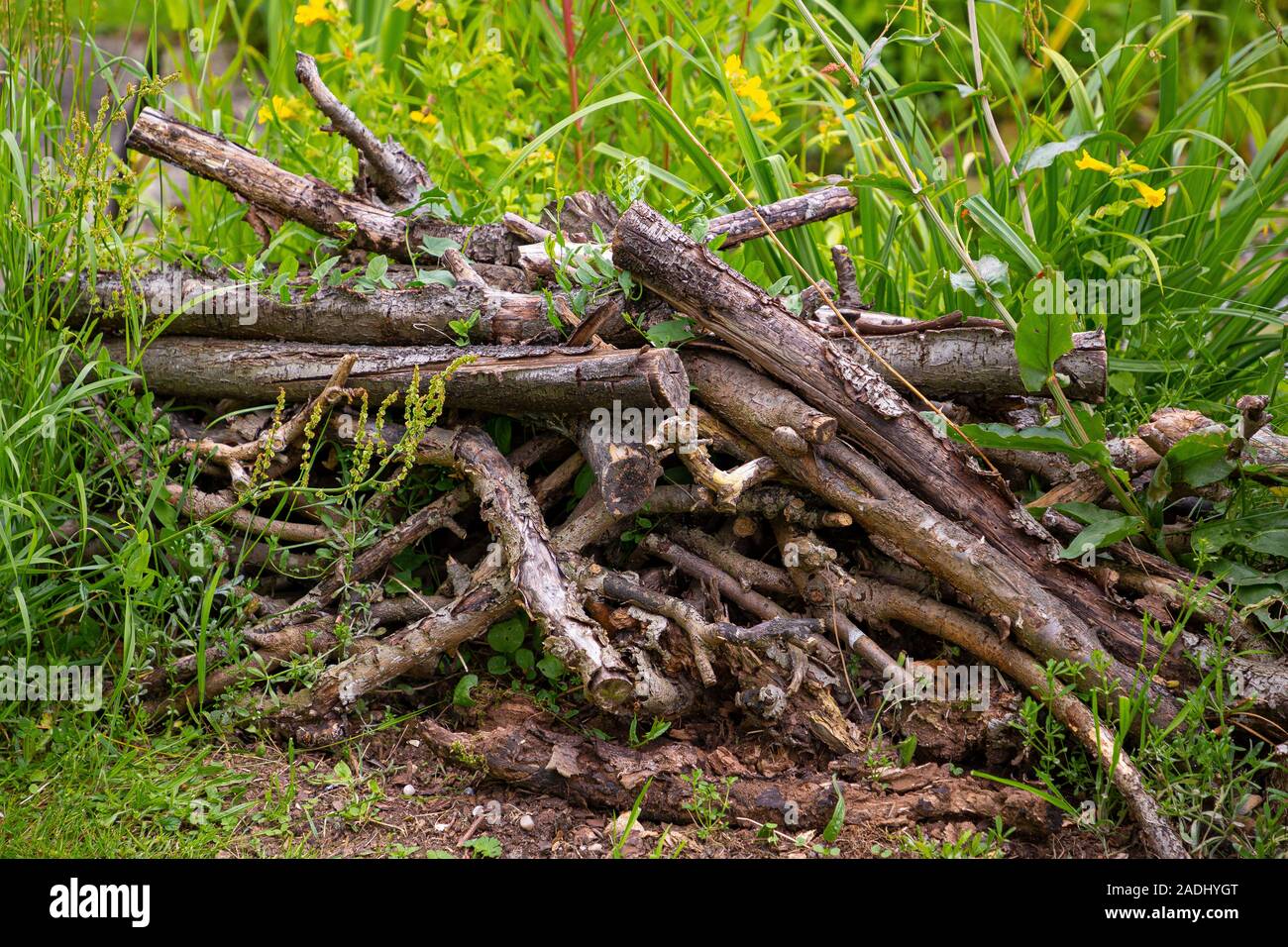 A Dead Wood Wildlife log pile Stock Photo - Alamy