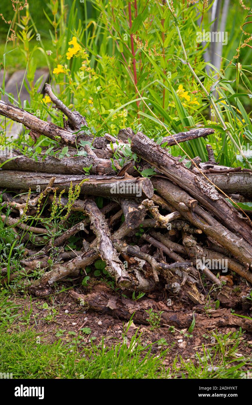 Wildlife log pile hi-res stock photography and images - Alamy