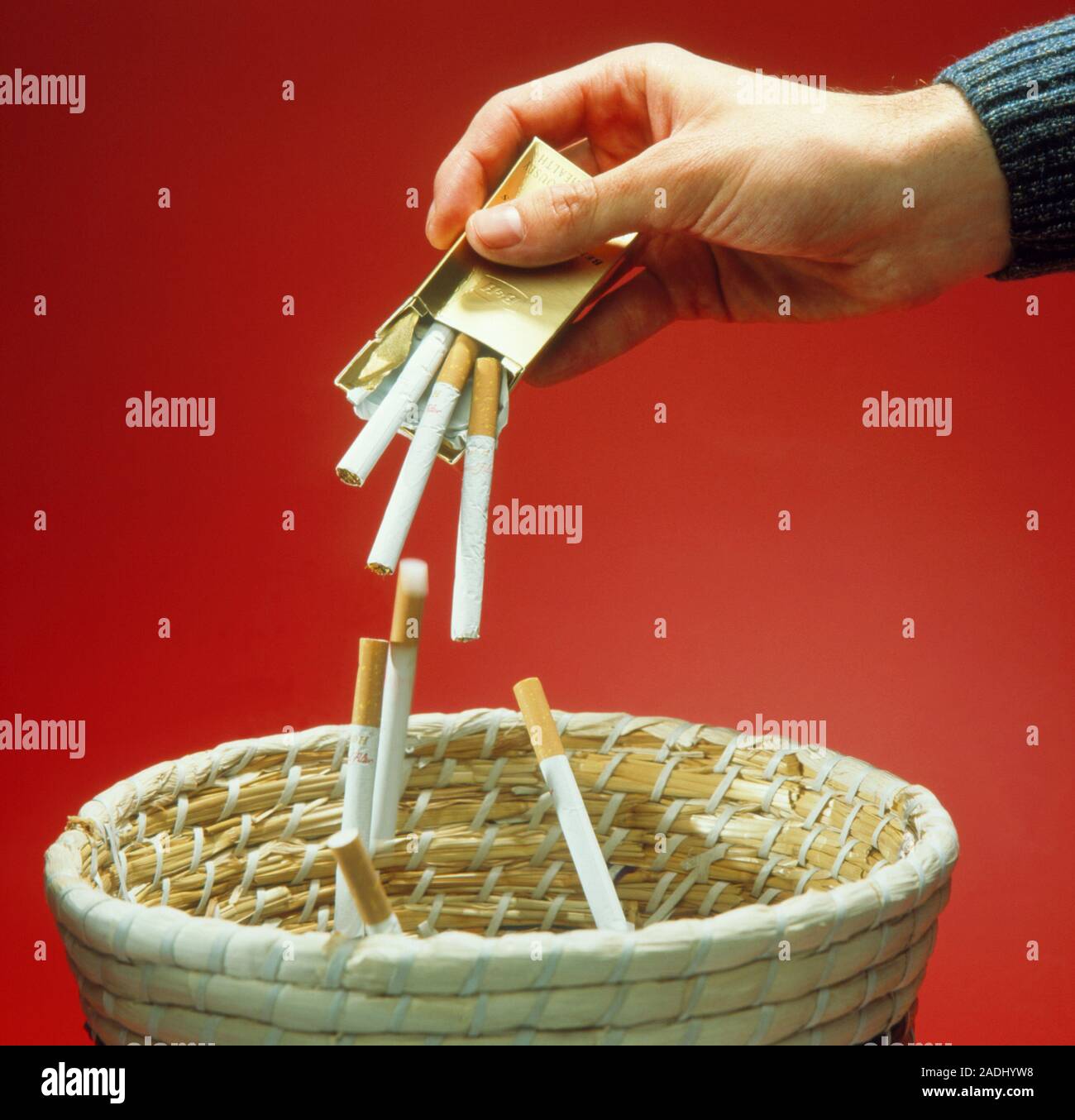 Quitting smoking. Hand empties a packet of cigarettes into a bin ...