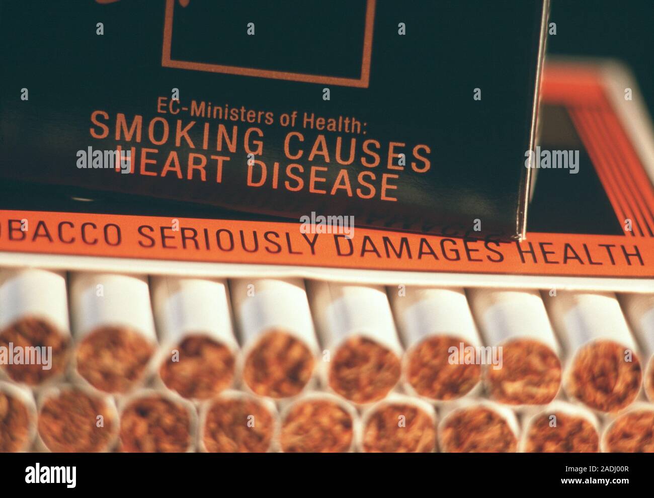 Cigarettes in a packet showing part of a warning about the damage to ...