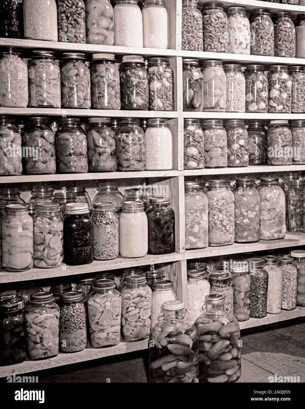 1930s PANTRY WALL OF HARVESTED AND CANNED GOODS VEGETABLES AND FRUITS ...