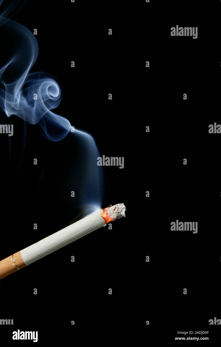 Lit cigarette. Tobacco cigarettes contain the stimulant drug nicotine ...