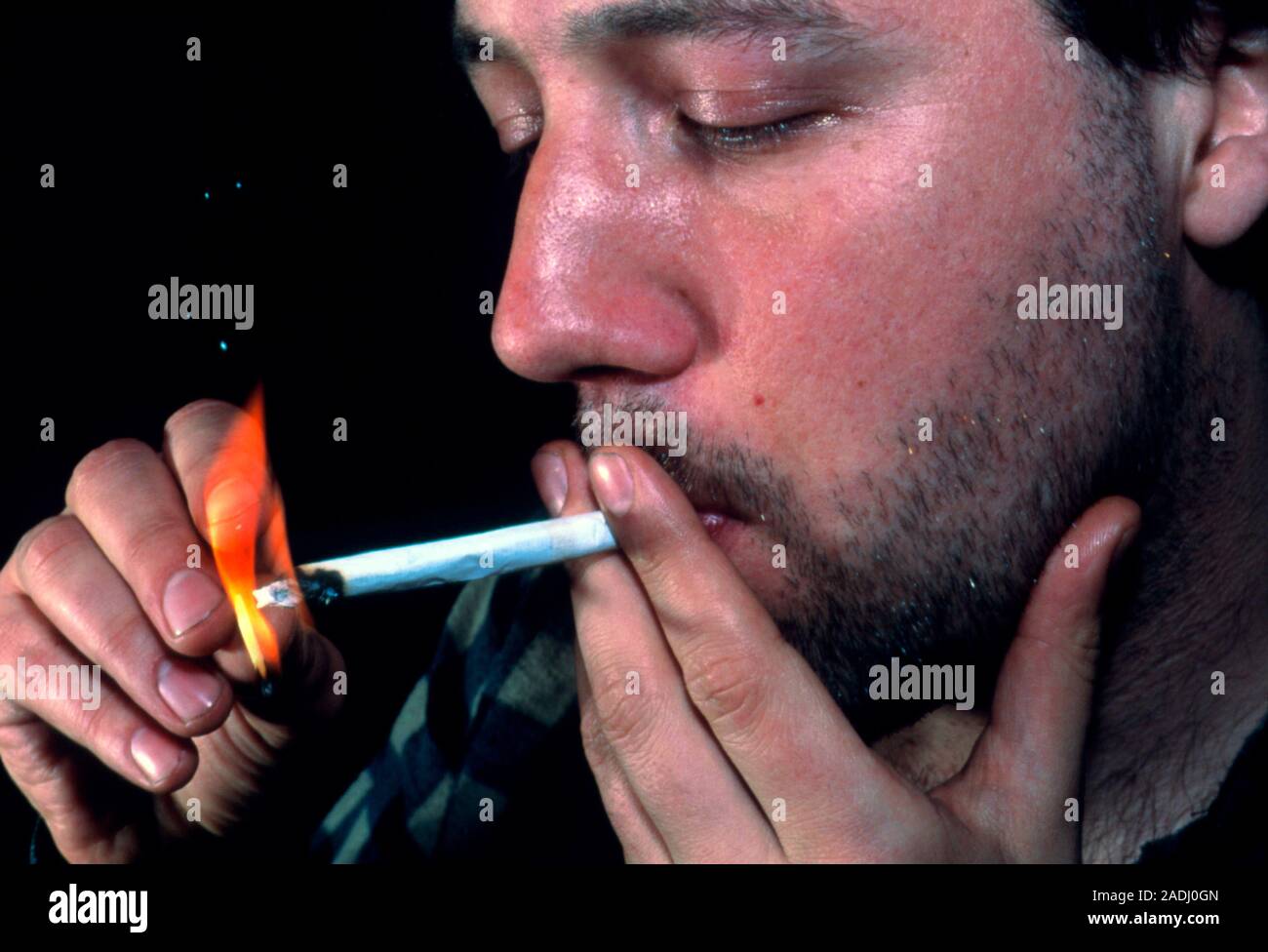Marijuana. Drug user lights a marijuana cigarette (called a joint or ...