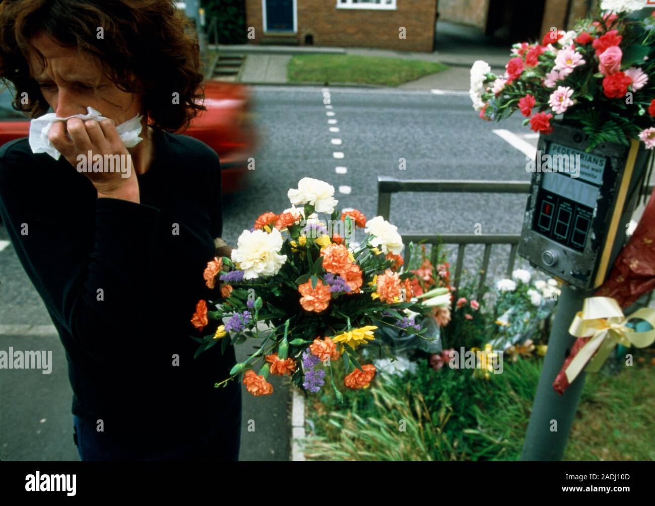 Bereavement. Woman mourns a road kill by placing flower bouquets of ...