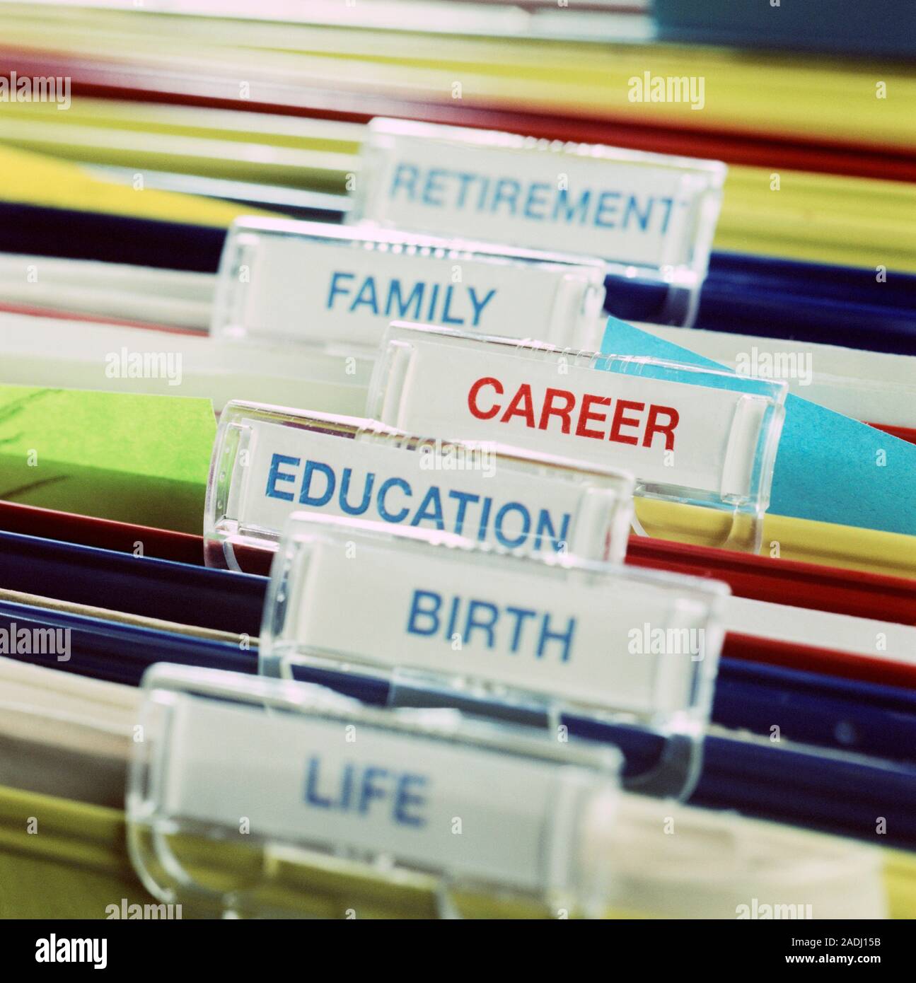 Life stages. Conceptual image of filing cabinet labels, representing ...