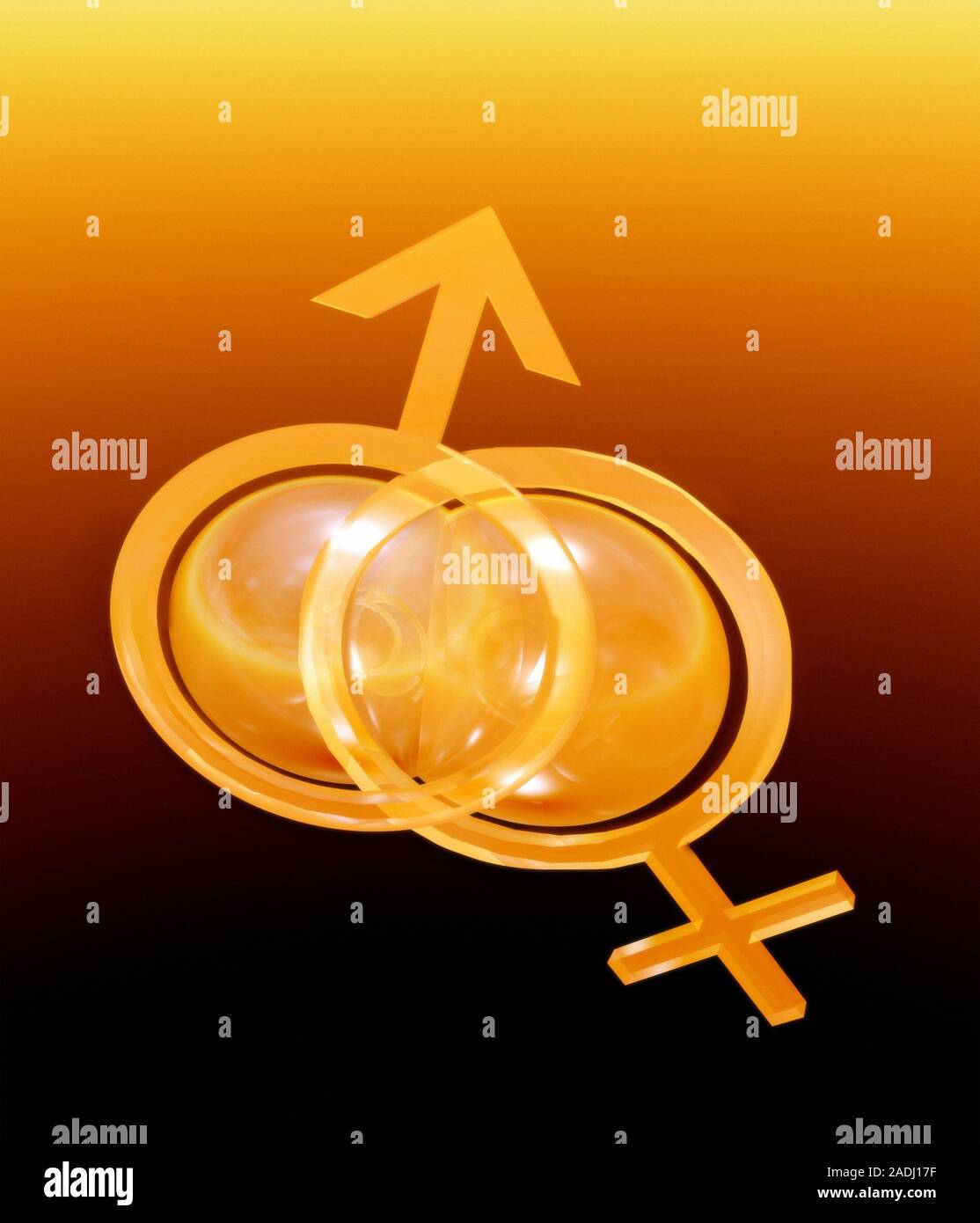 Male and female symbols. Conceptual computer artwork of an interlocked ...