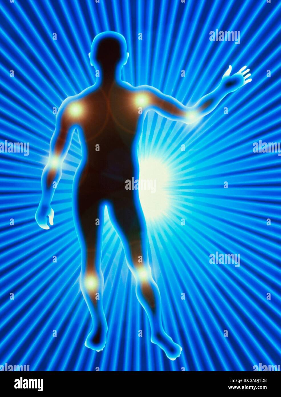 Regions of body pain. Computer graphic of a male figure in outline ...