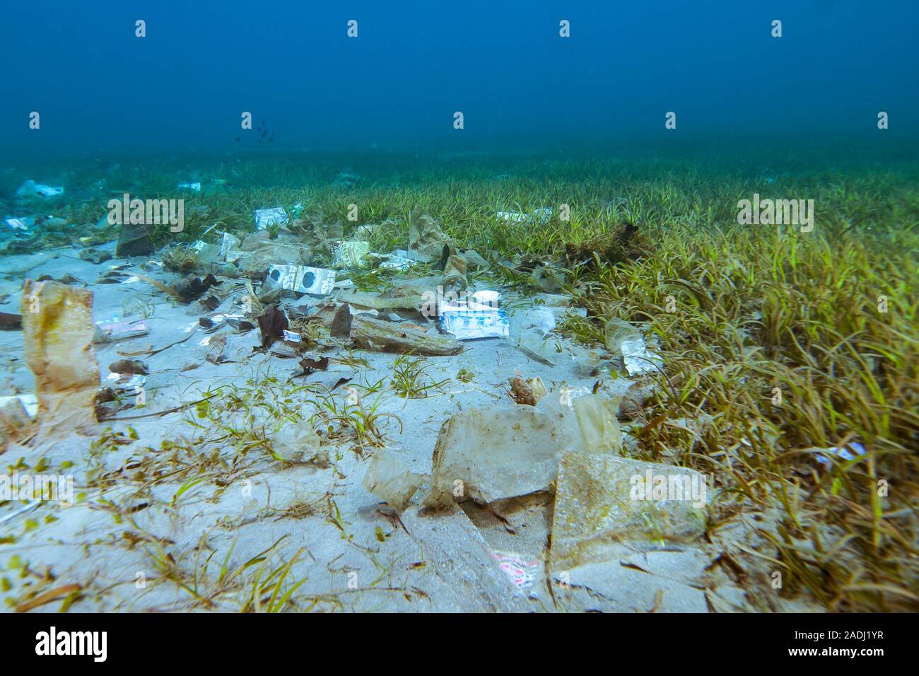 Underwater pollution marine hi-res stock photography and images - Alamy