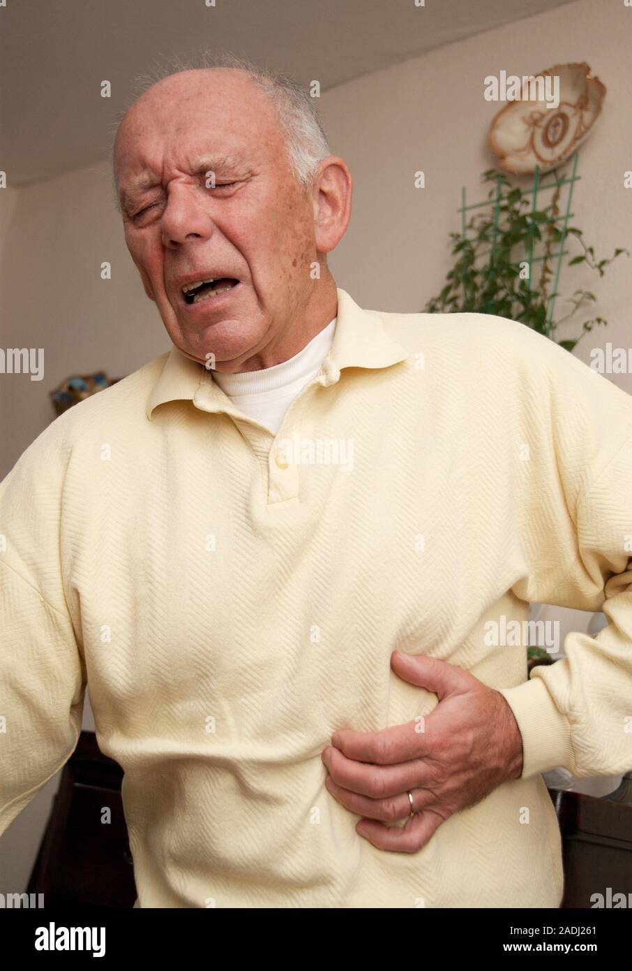 MODEL RELEASED. Chest pain. Elderly man experiencing pain in his chest ...