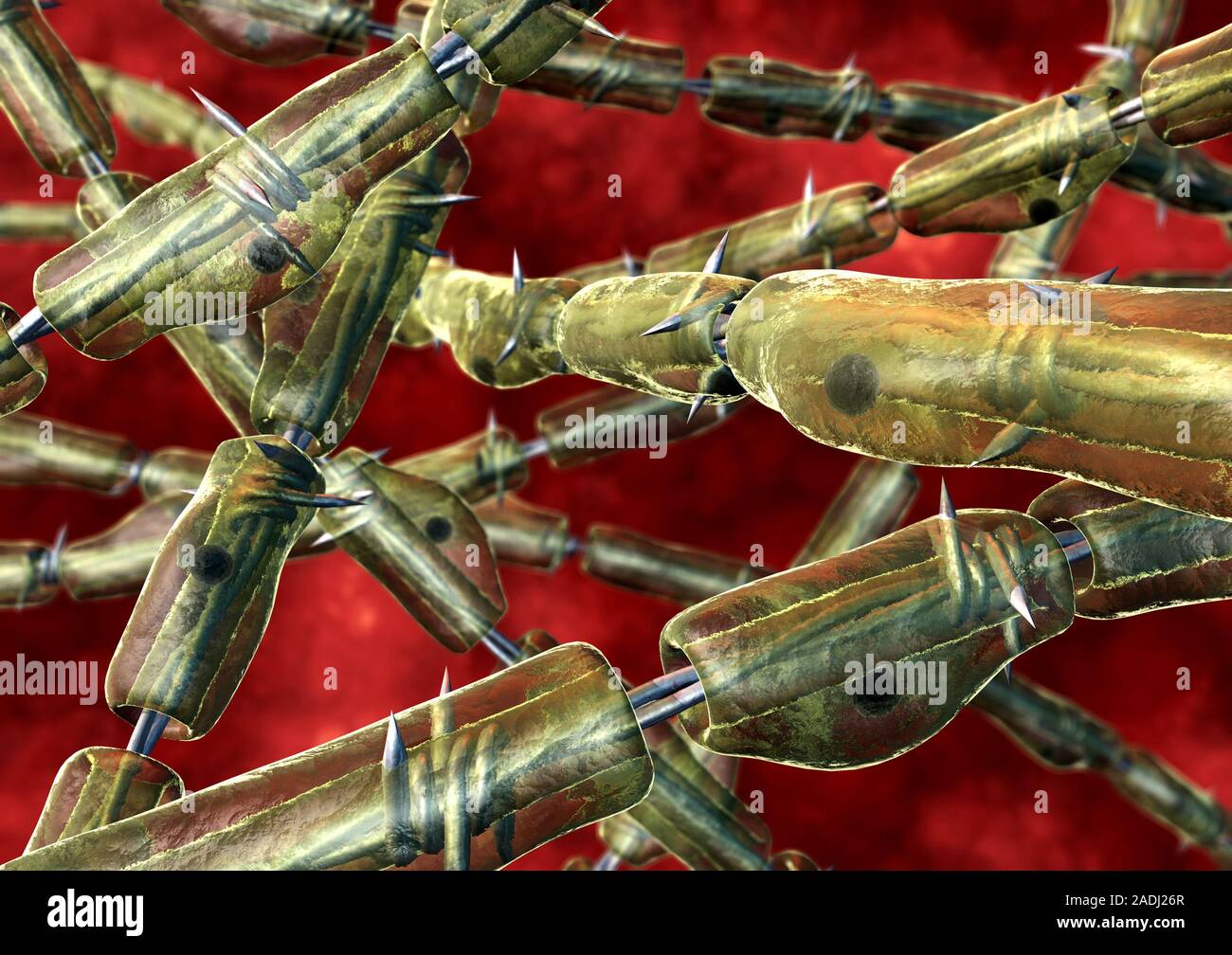 Pain. Conceptual computer artwork of pain, where nerve fibres are ...