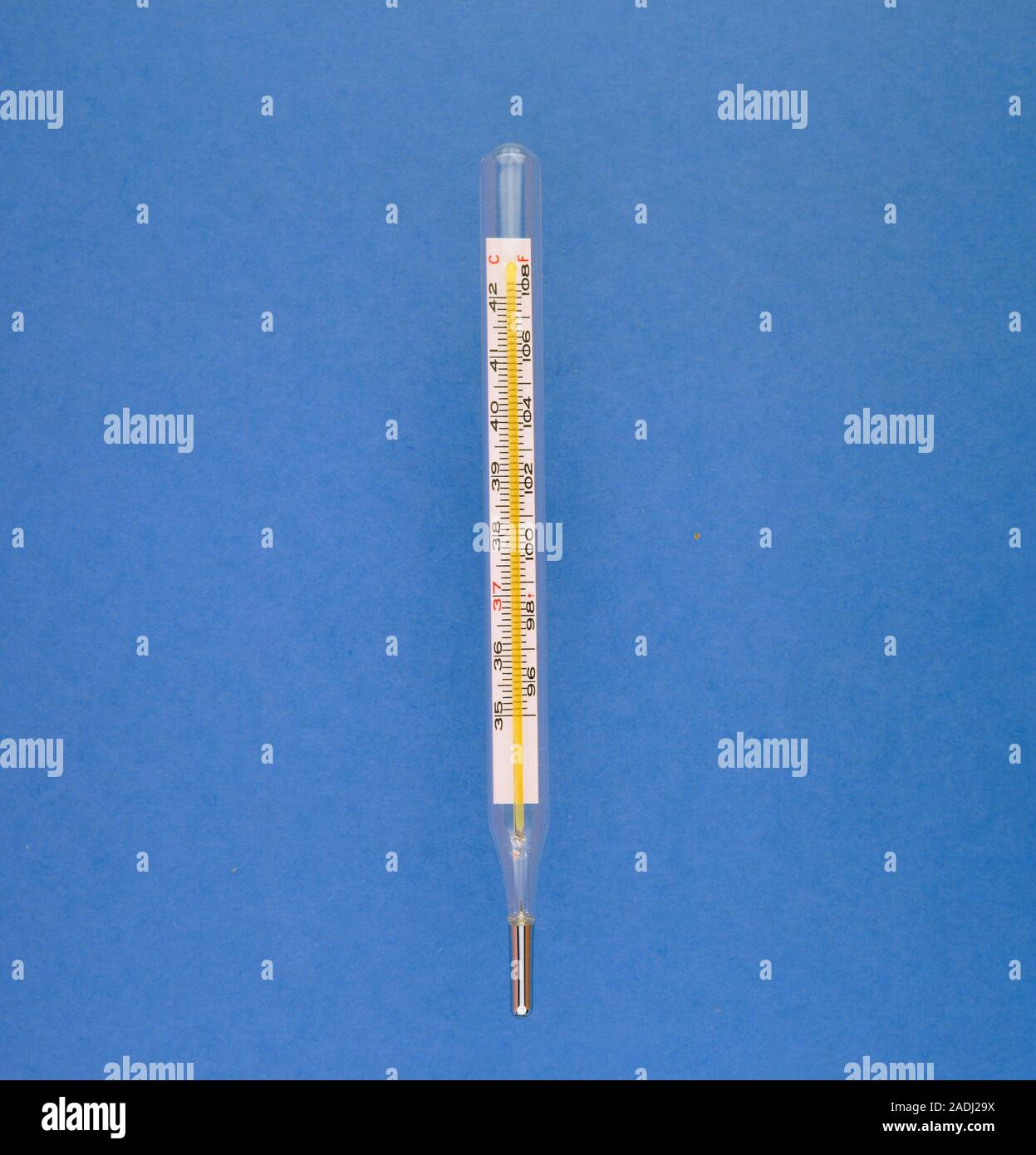A clinical thermometer, a device for registering the body temperature ...