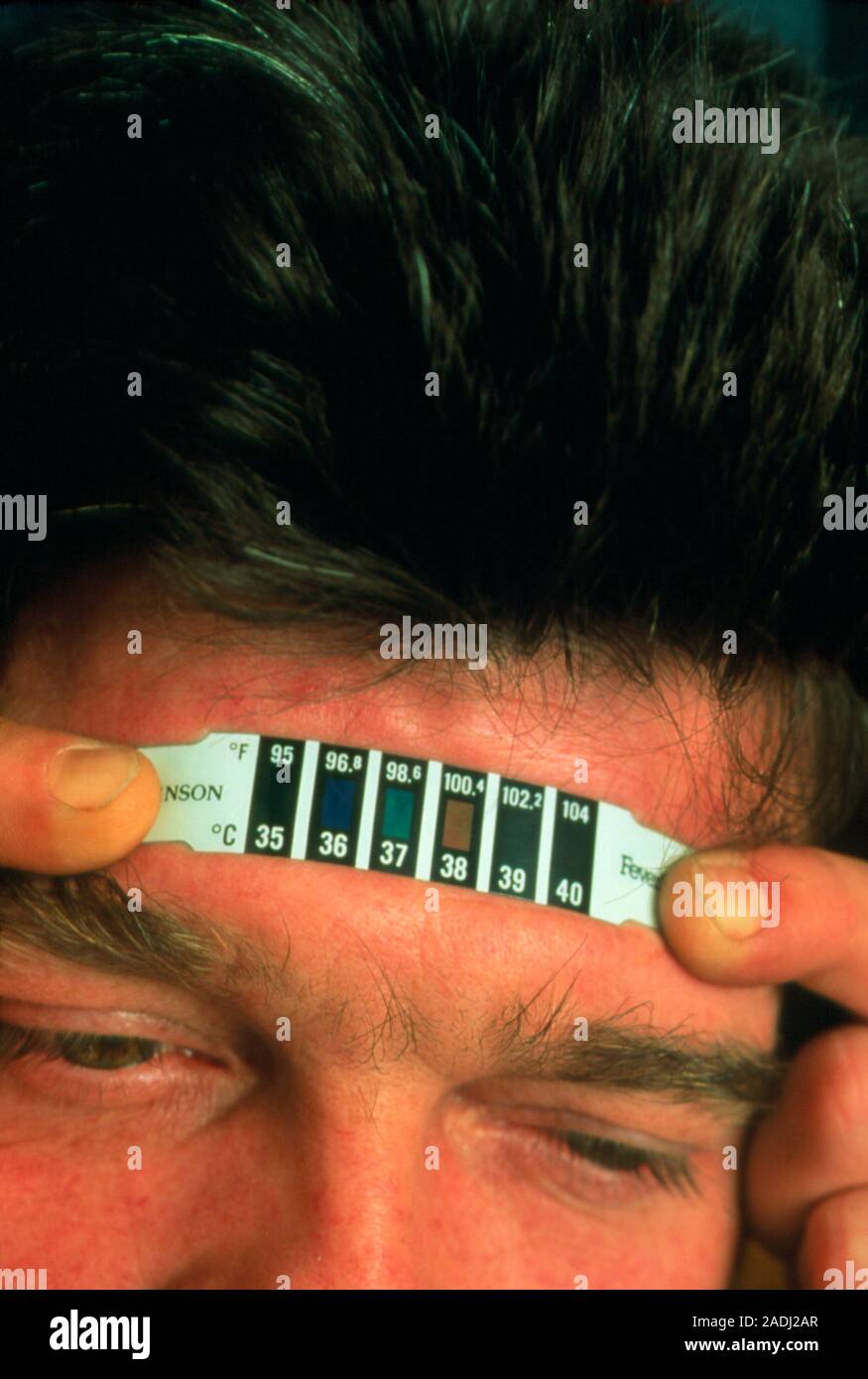 Model released. Man using a thermochromic strip thermometer. The ...
