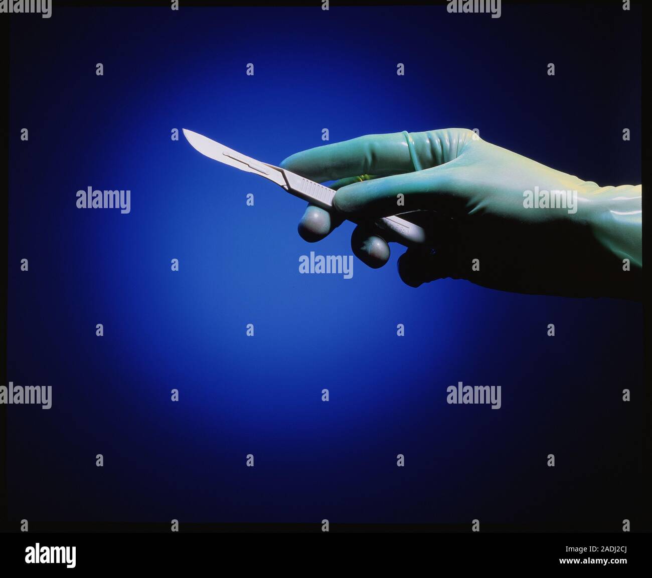 Scalpel. A gloved hand holds a scalpel. Scalpels are surgical knives ...