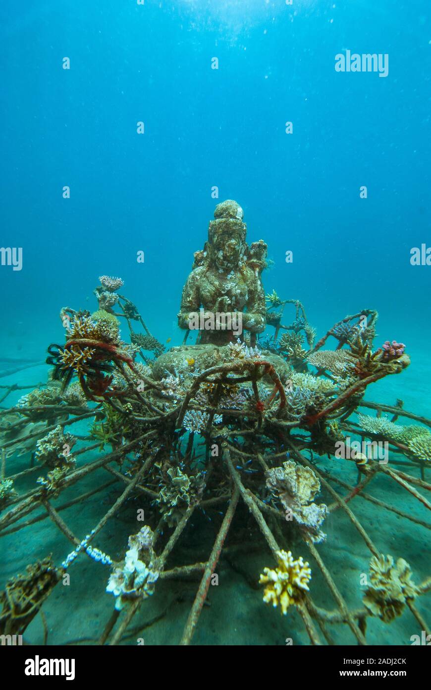Biorock hi-res stock photography and images - Alamy