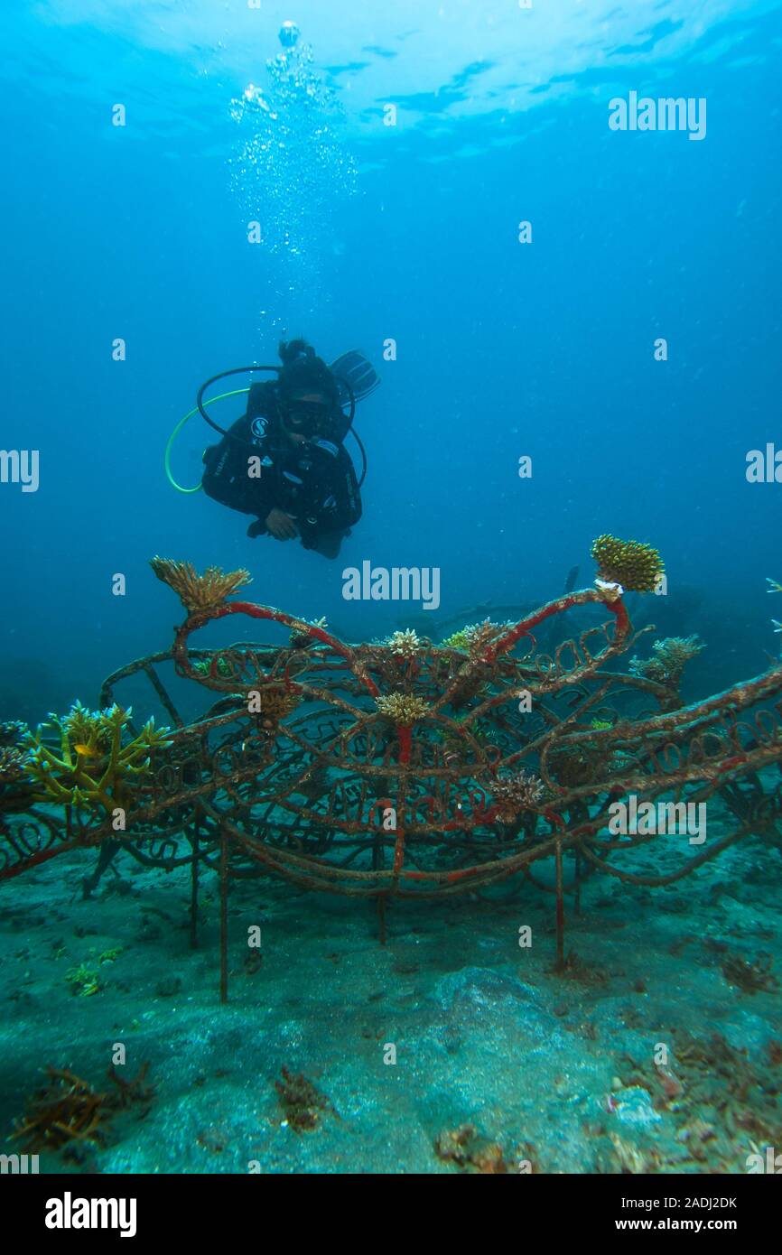 Biorock hi-res stock photography and images - Alamy