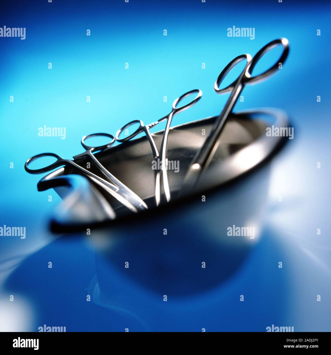 Forceps in surgical bowl. View of some scissor forceps in a kidney ...