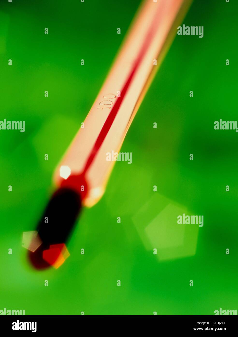 Thermometer. View of a clinical thermometer with a scale in degrees ...
