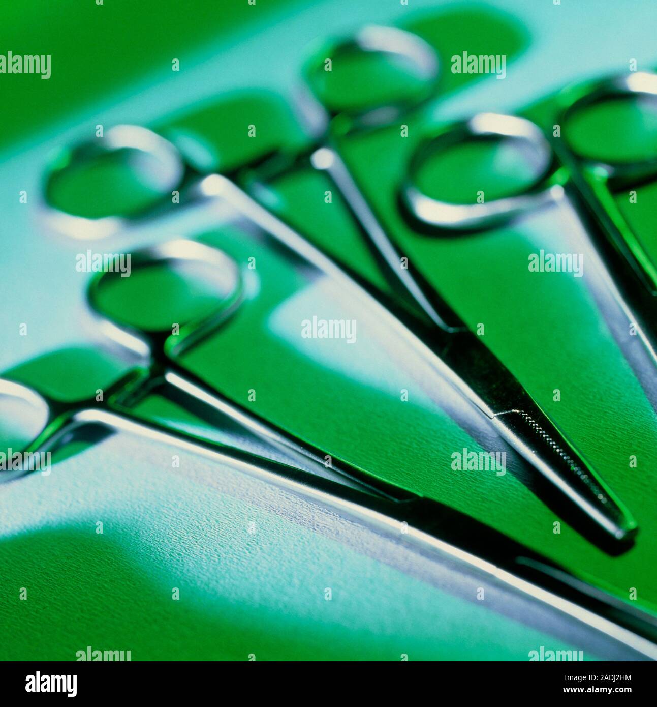 Scissor forceps. View of three pairs of scissor forceps. Forceps are ...