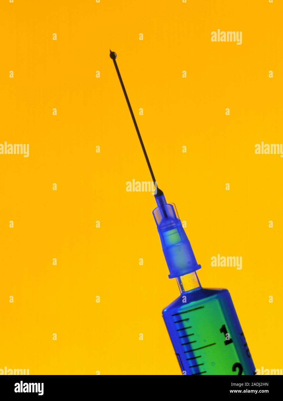 Syringe. View of a needle on the end of a syringe. A drop of liquid can ...