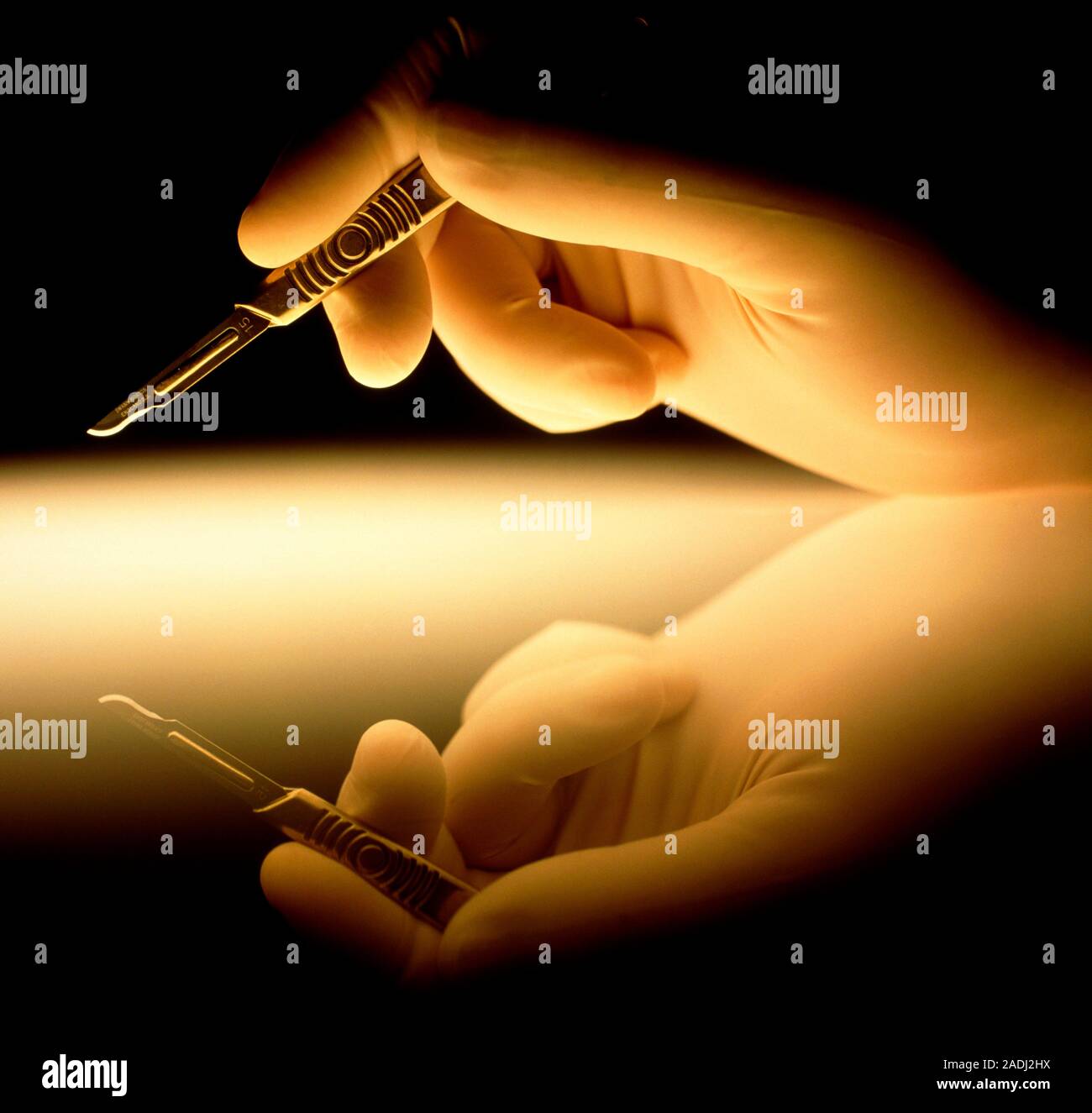 Scalpel. Gloved hand holding a surgical scalpel, with a reflection seen ...