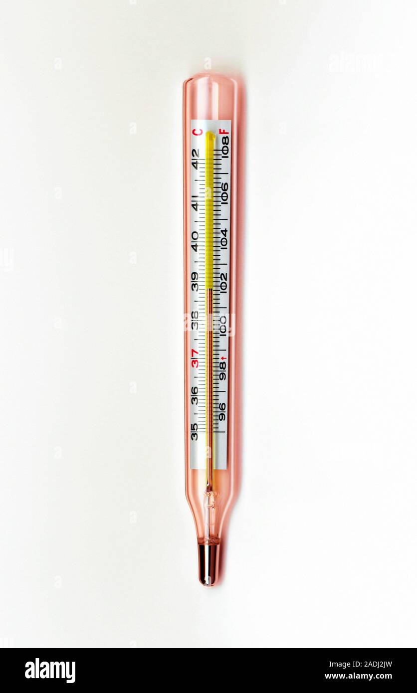 Mercury Laboratory Thermometer