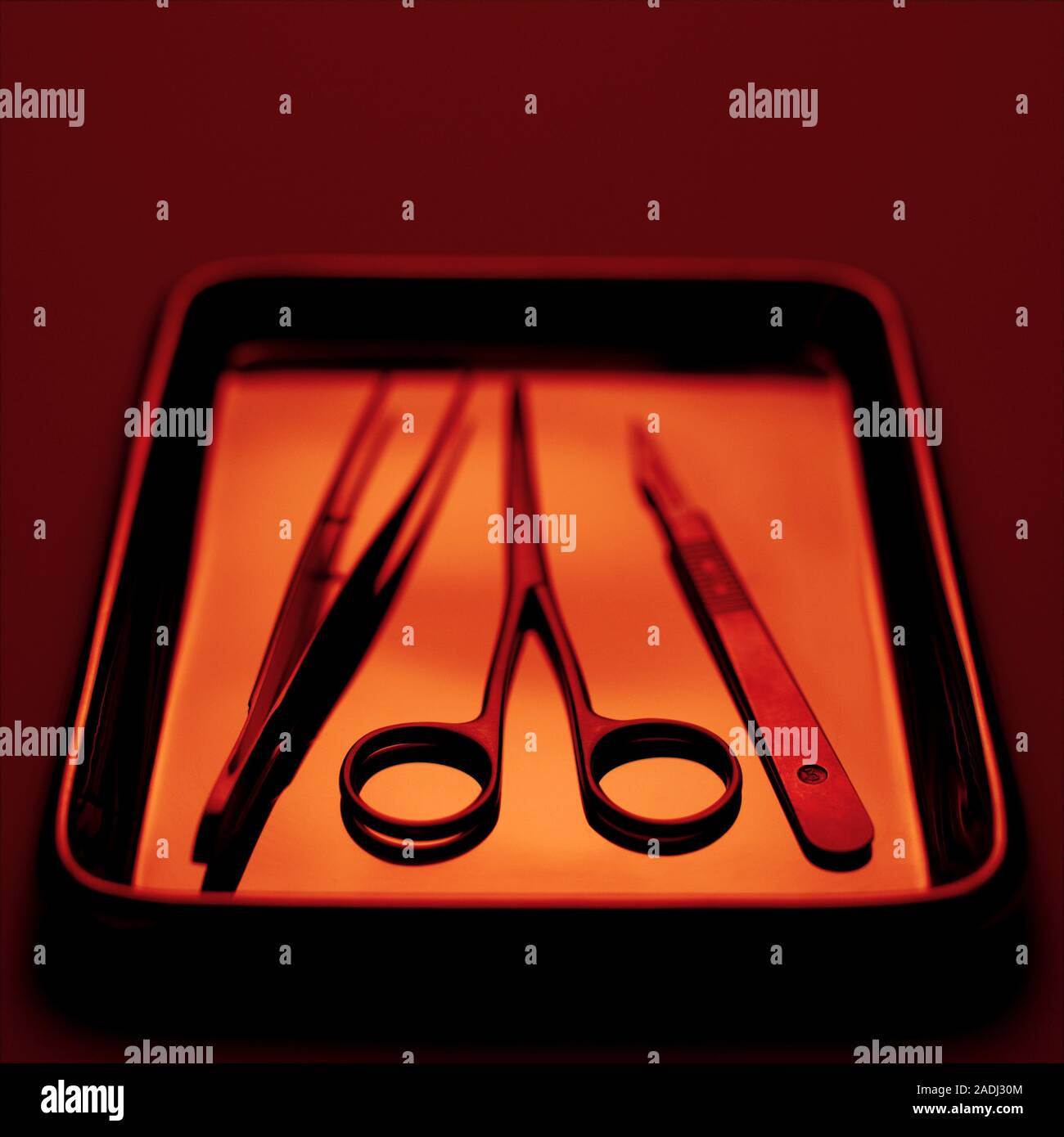 Surgical equipment in a stainless steel tray. From left: tweezers ...
