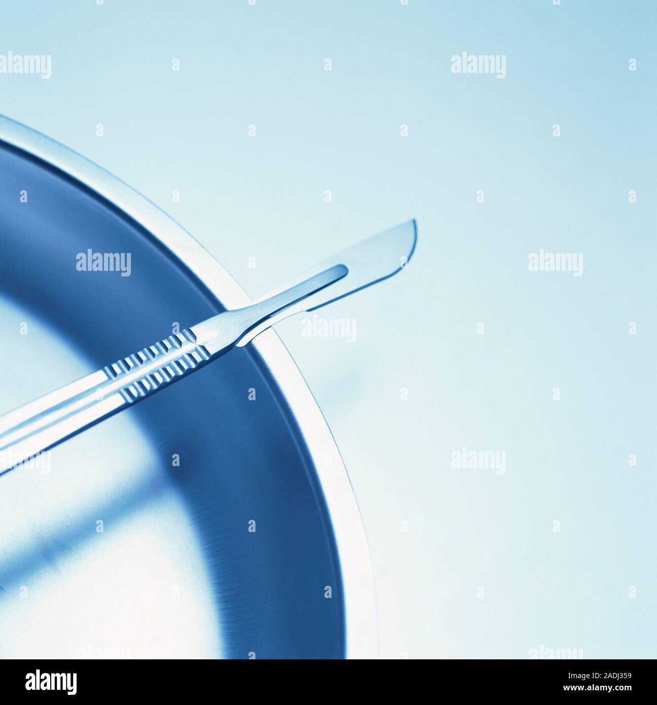 Scalpel in a stainless steel tray Stock Photo - Alamy