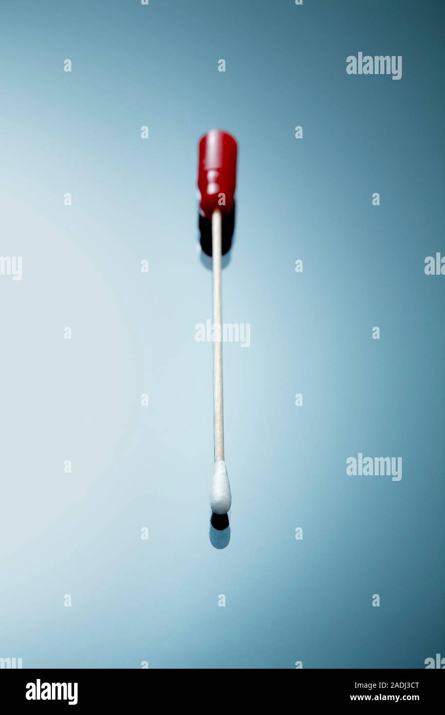 Sampling swab. Sterile cotton swab used to take samples of cells for ...