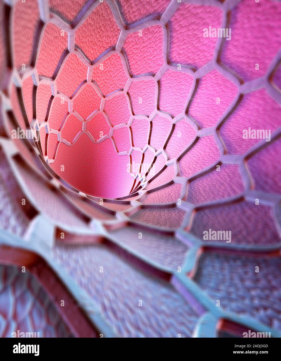 Blood vessel stent, computer artwork. Stents are wire mesh tubes used ...